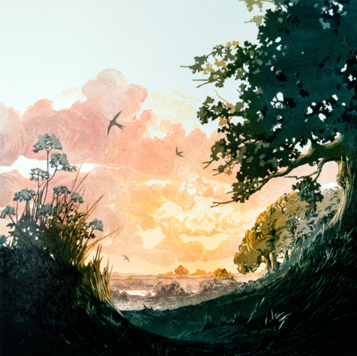 10 Contemporary Printmakers – The Art Desk